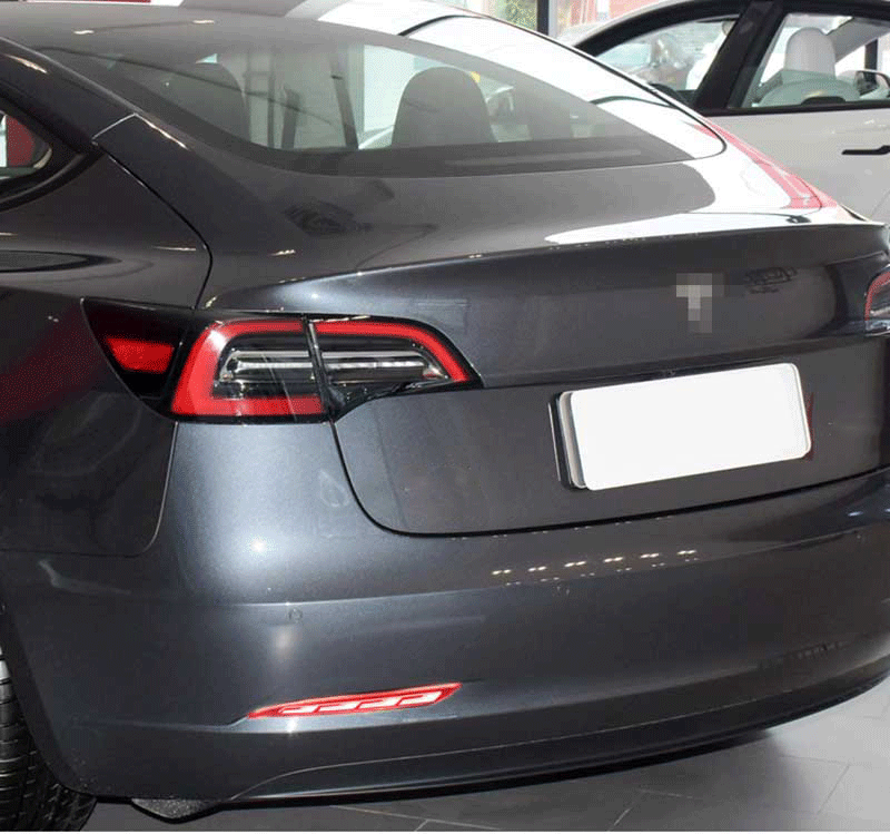 TAPTES Rear Bumper Lights Rear Fog Lights for Tesla Model 3 Model Y 20 ...
